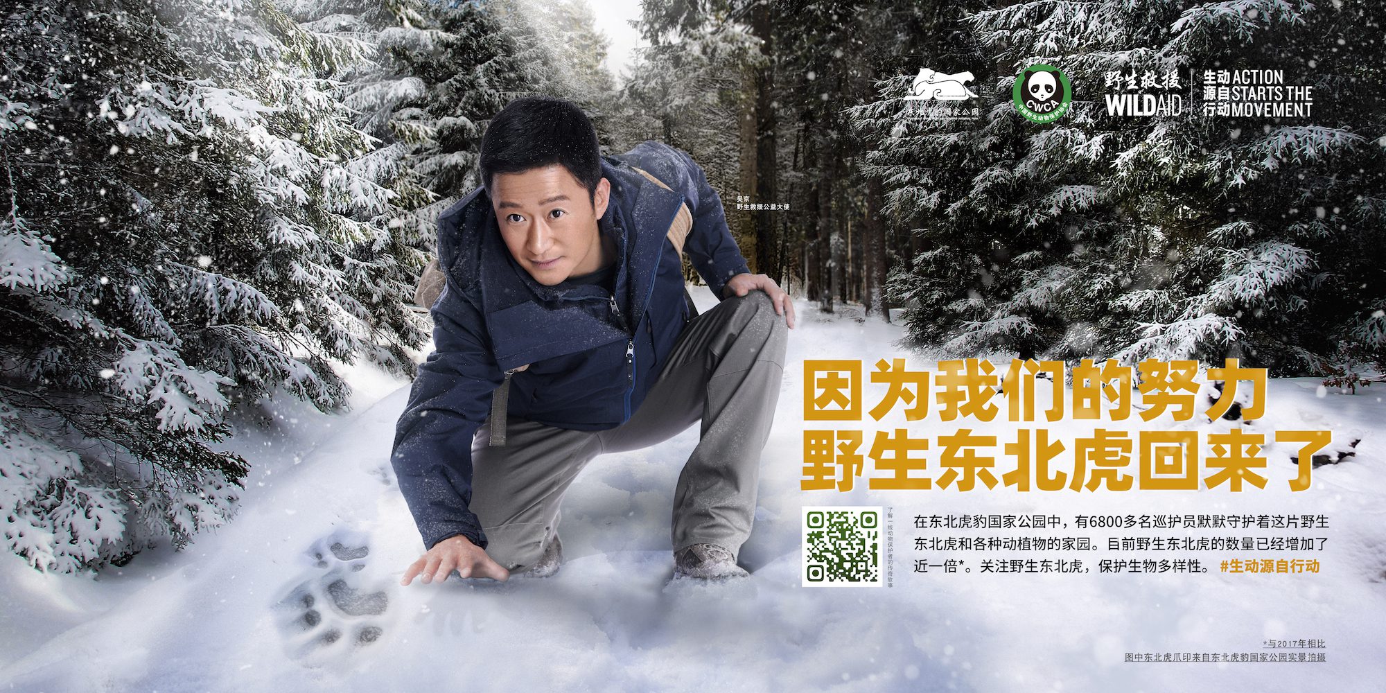 保护野生东北虎宣传片发布 公益大使吴京为巡护员代言 | 野生救援WildAid