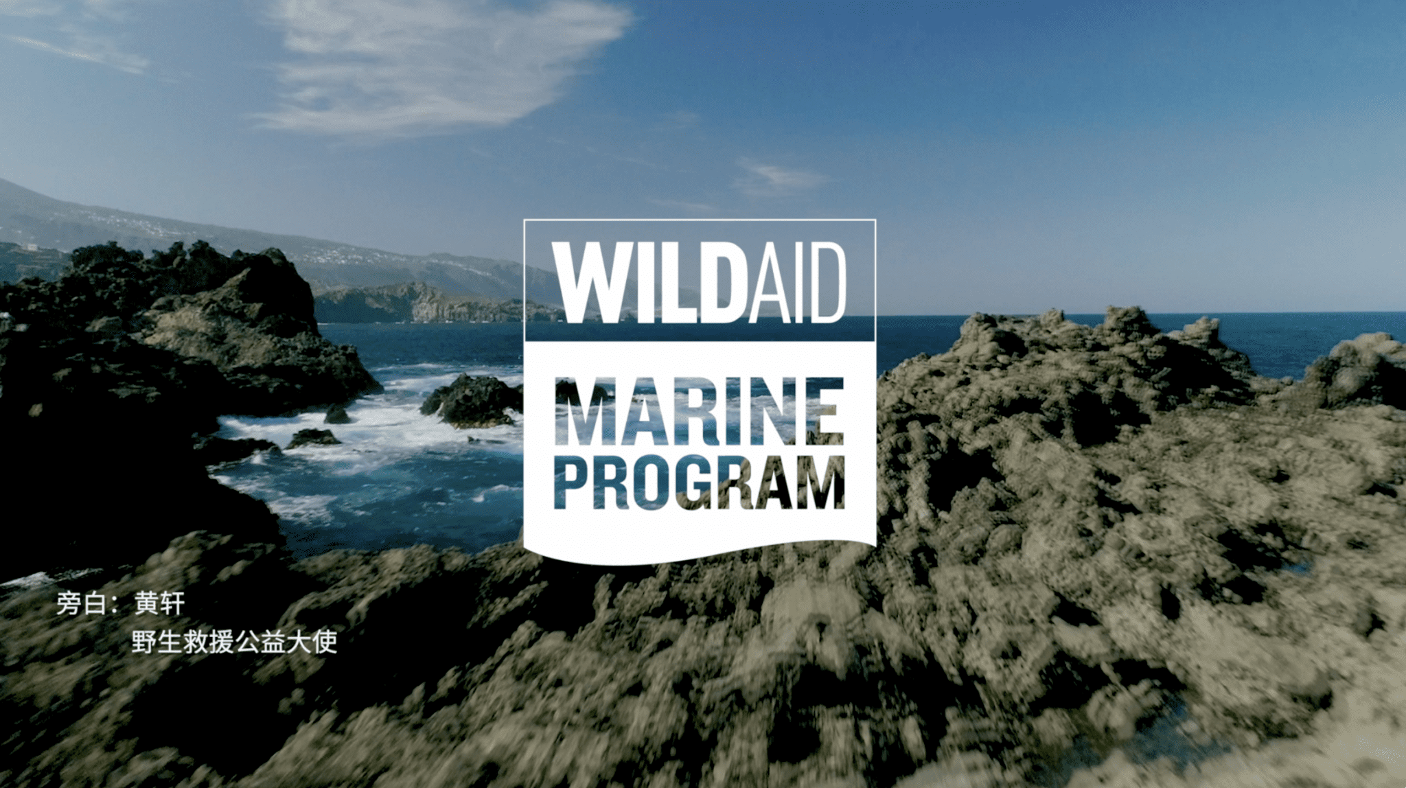 观看视频 | 野生救援WildAid