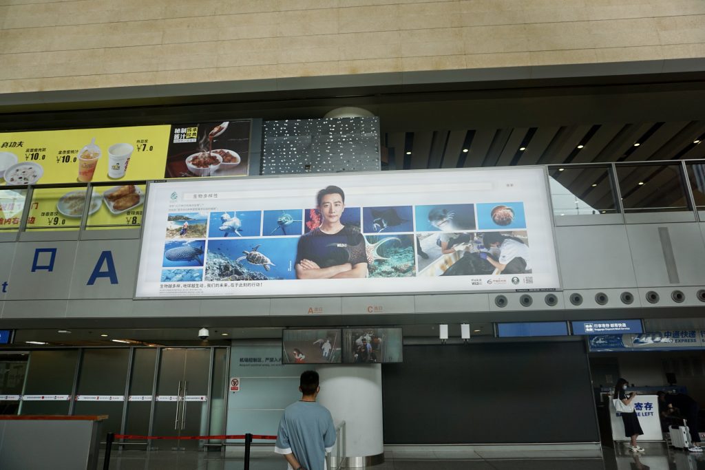 WildAid首席项目官John Baker署名文章：我看中国环境保护这十年 | 野生救援WildAid