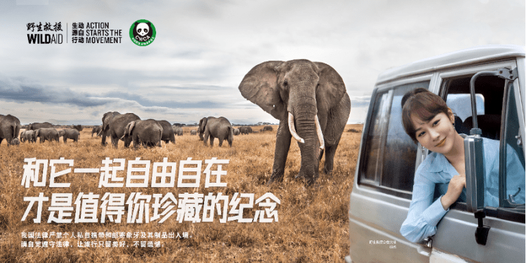 4.22世界地球日杨紫发声，让旅行只留美好不留遗憾 | 野生救援WildAid